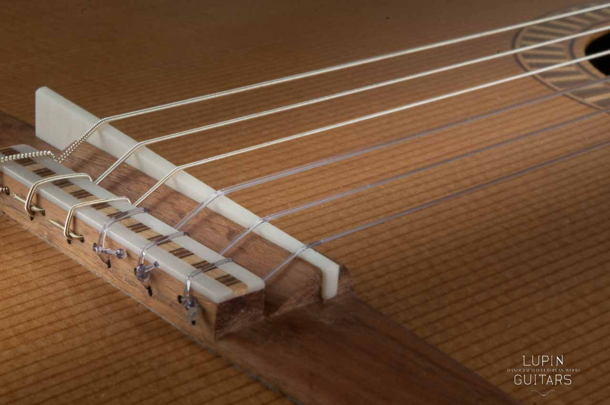 Classical guitar torrefied spruce: walnut (back and sides)